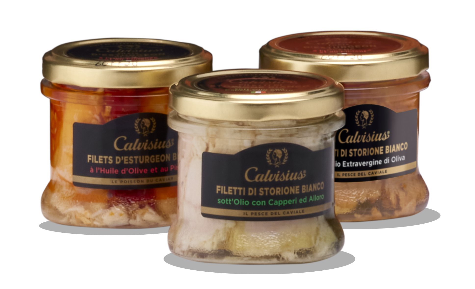 Sturgeon in olive oil - Calvisius | Caviale sostenibile