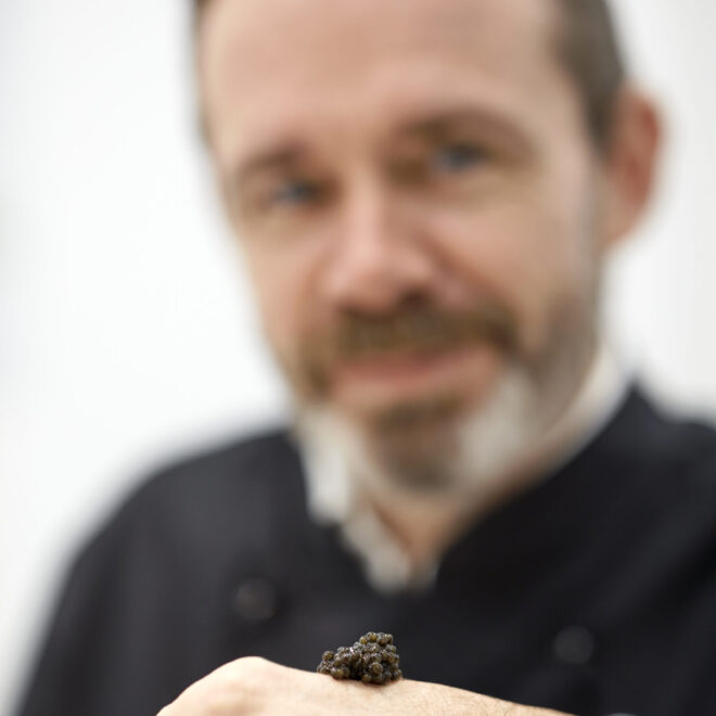 Sturgeons, living fossils - Calvisius | Caviale sostenibile